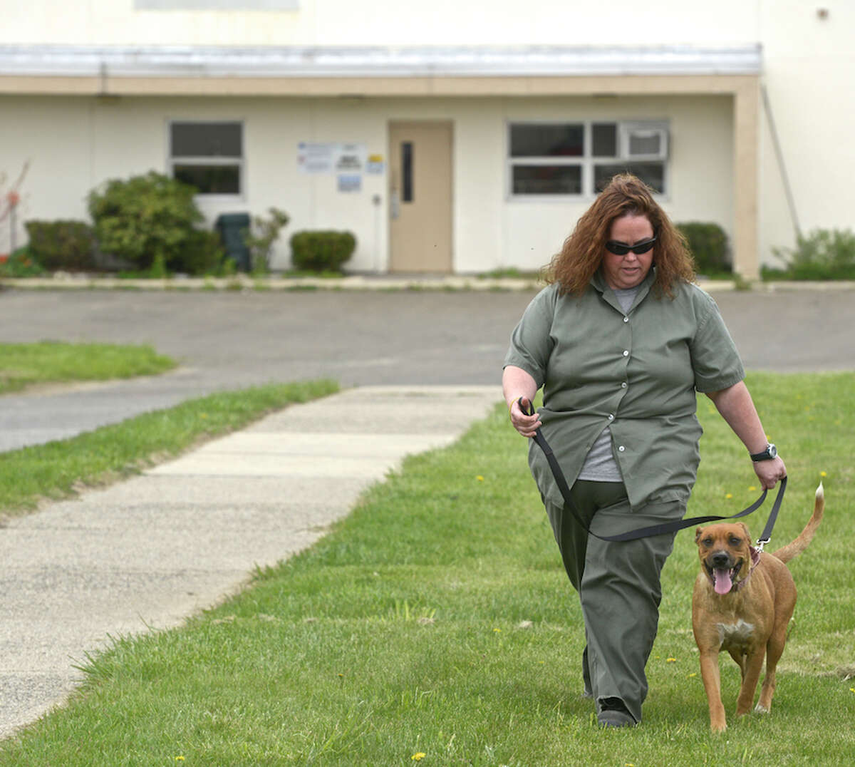 New program at Danbury federal prison benefits inmates and puppies