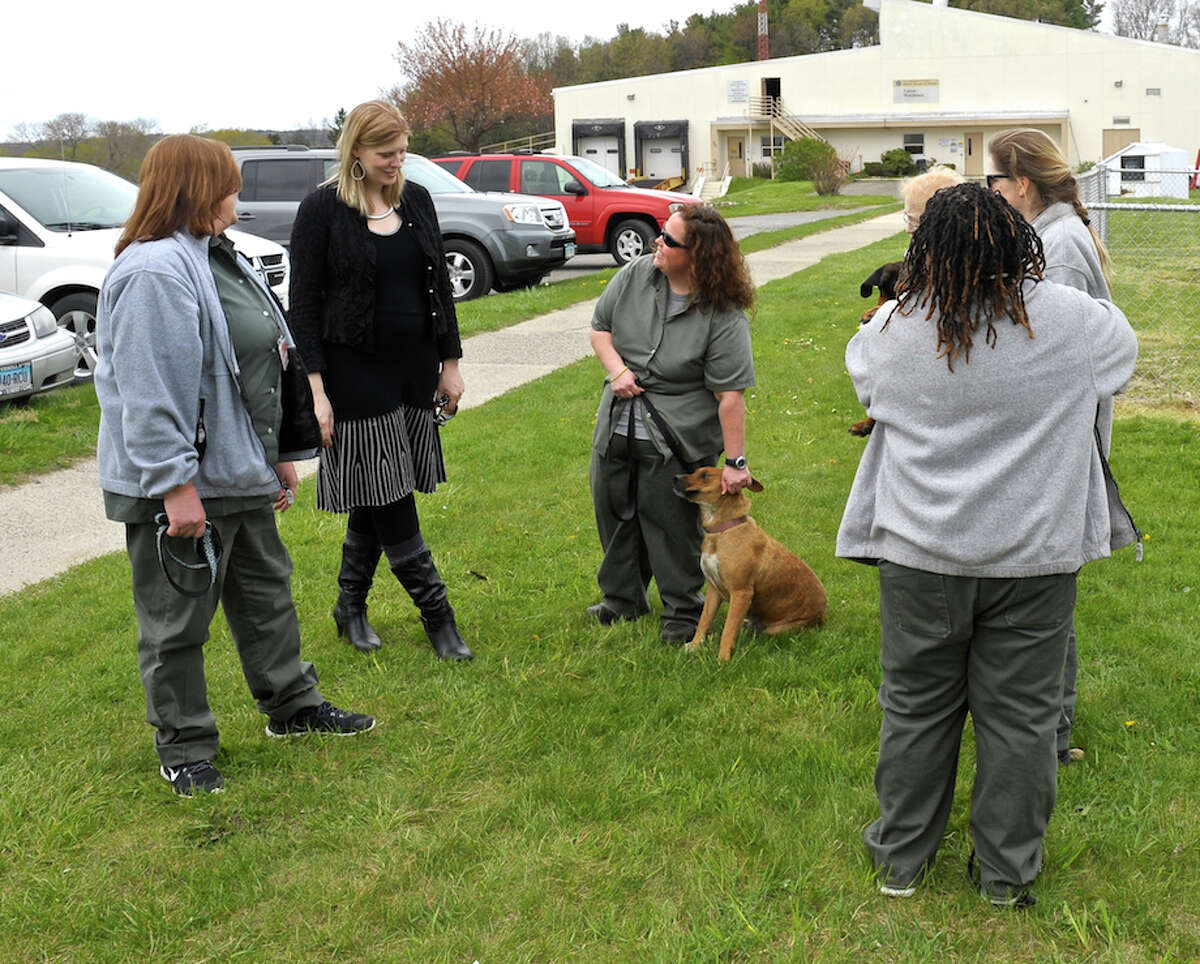 New program at Danbury federal prison benefits inmates and puppies