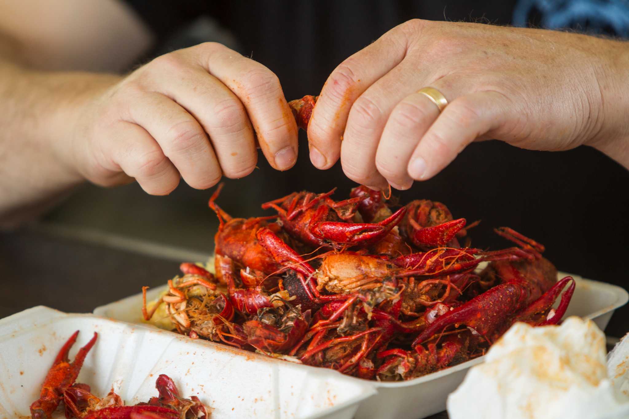 Crawfish lovers pack annual festival