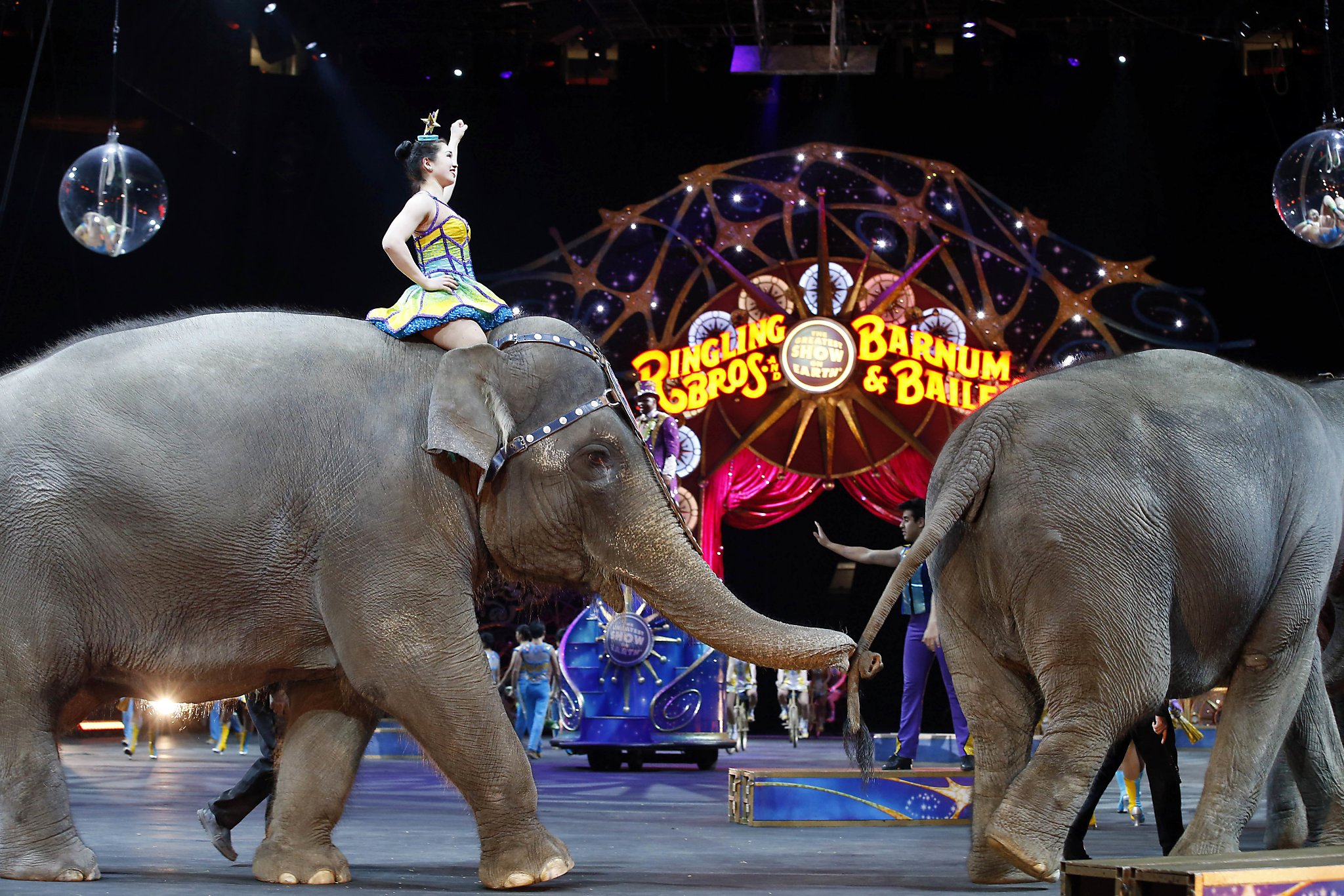 Final performances for Ringling Bros. elephants
