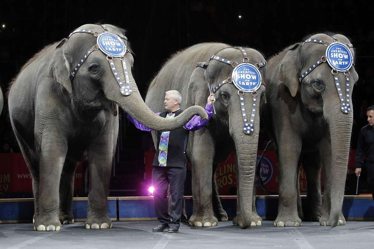Final performances for Ringling Bros. elephants