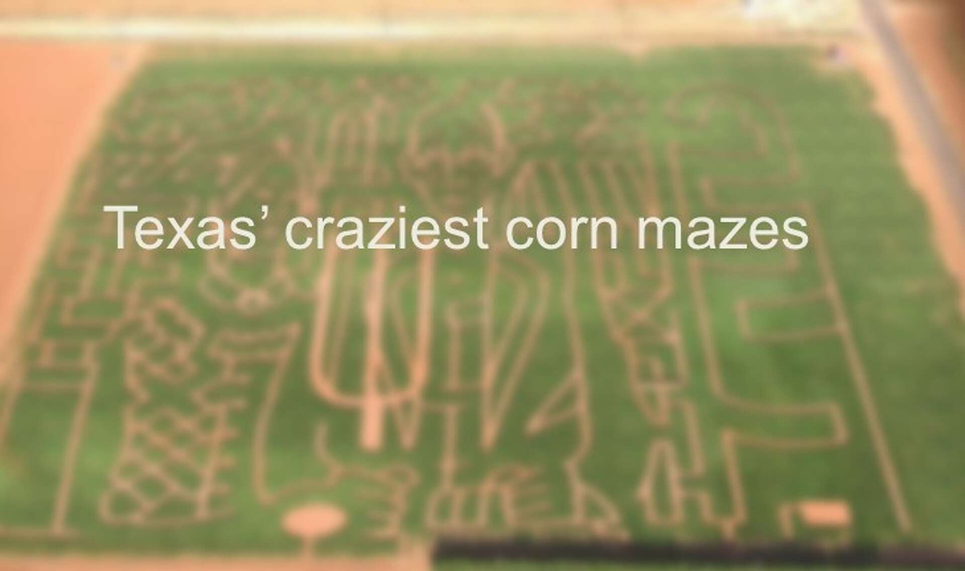 11 corn mazes in Texas to visit this fall