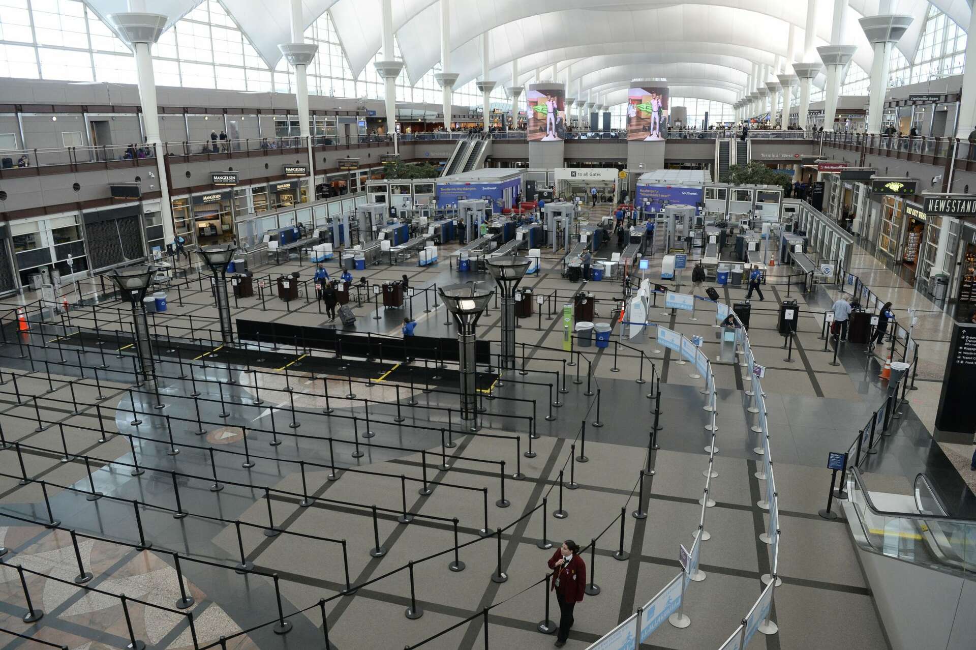 These Airports Are The Most Pet Friendly In The U S