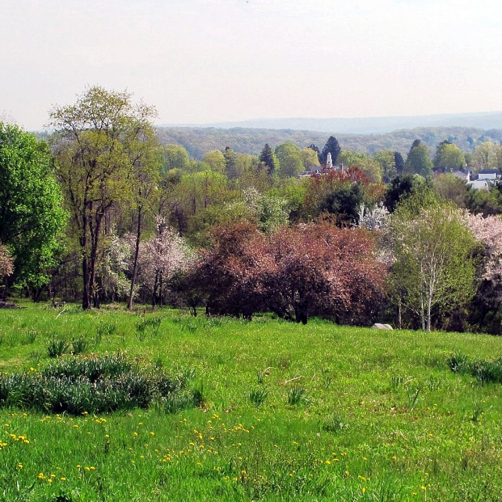 Dedicating an orchard with a view in Newtown