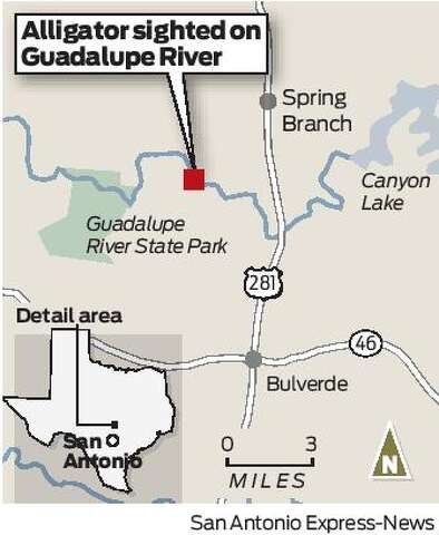 Kayaker spots alligator on upper Guadalupe River