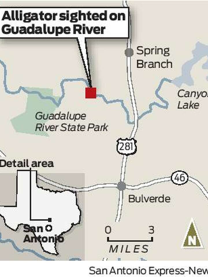 Kayaker spots alligator on upper Guadalupe River