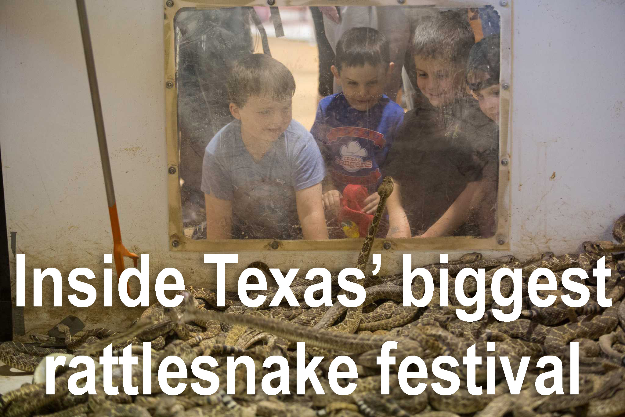 Sweetwater's Rattlesnake Roundup: Still the weirdest event in Texas