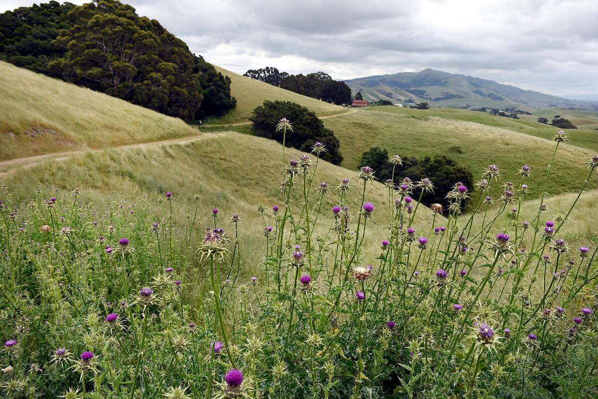 Sunday getaway to Vargas Plateau Regional Park
