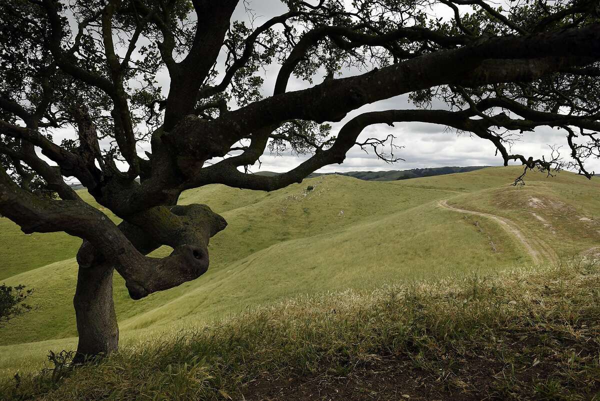 1,249-acre park opens east of Fremont, offering sweeping views
