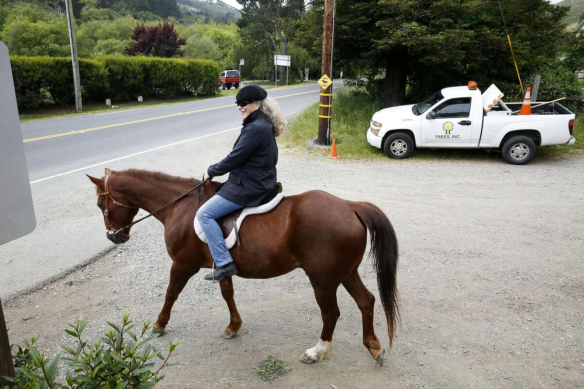Ride a horse in Marin all the way to the ‘top of the world’