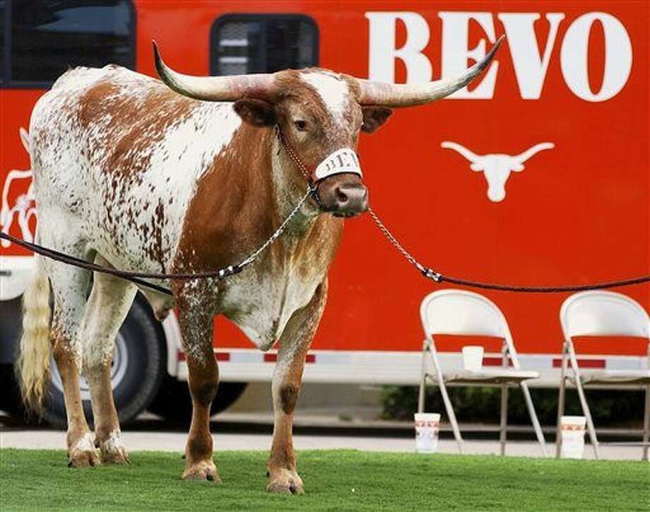 Texas famed mascot Bevo XIV has died - Midland Reporter-Telegram