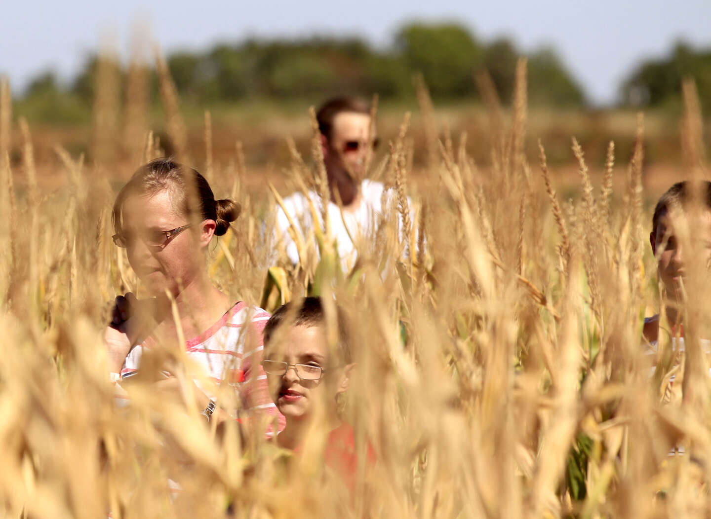 Fiddlesticks Farms near Midland opens this weekend