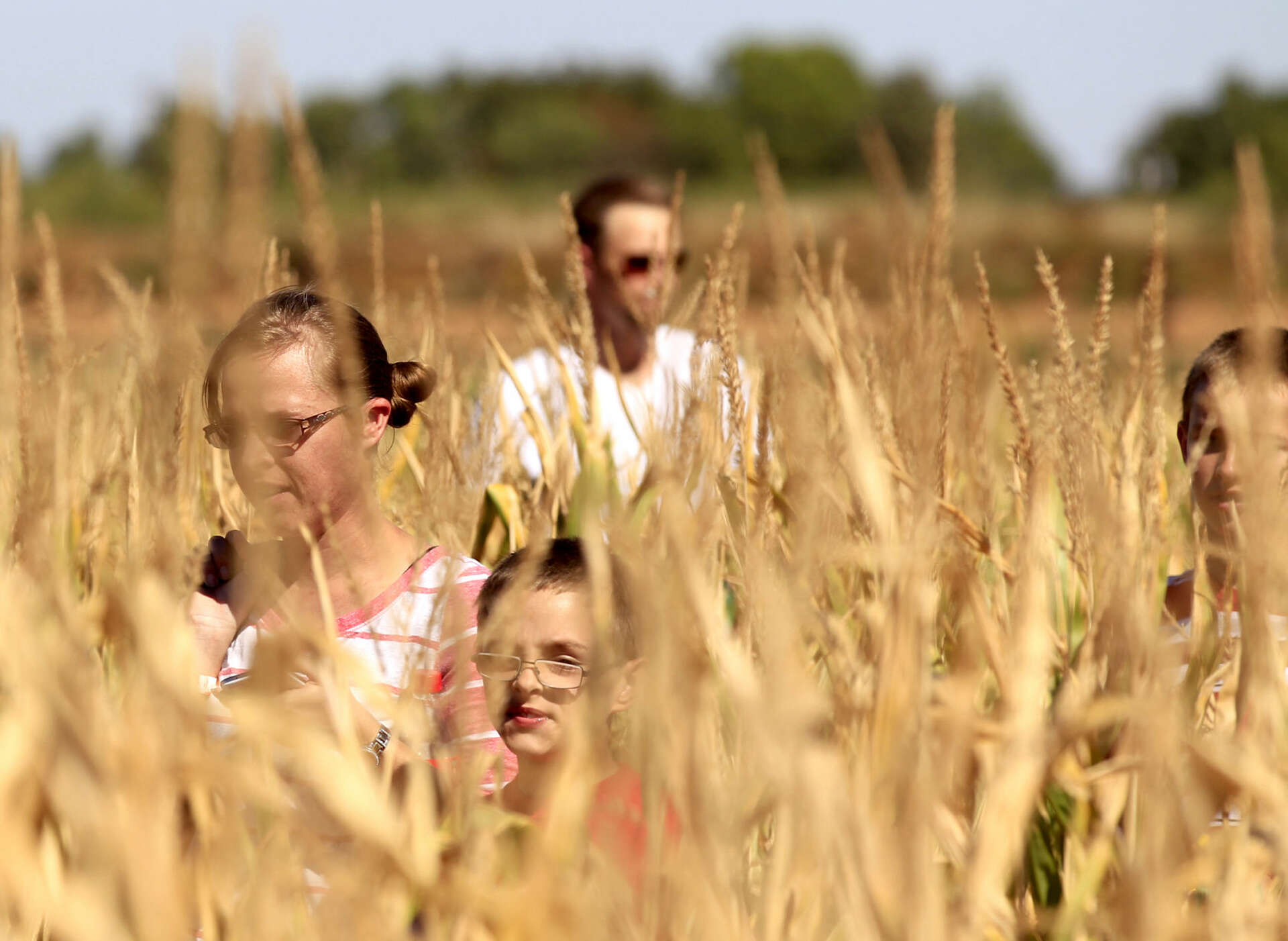 Fiddlesticks Farms near Midland opens this weekend