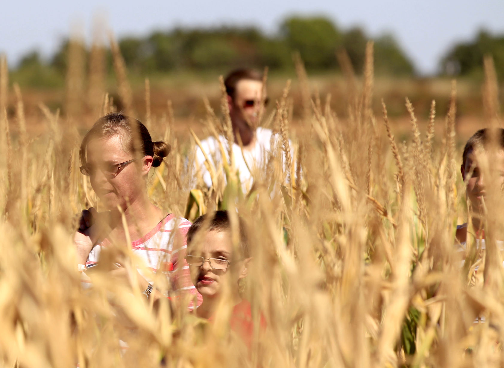 Fiddlesticks Farms near Midland opens this weekend