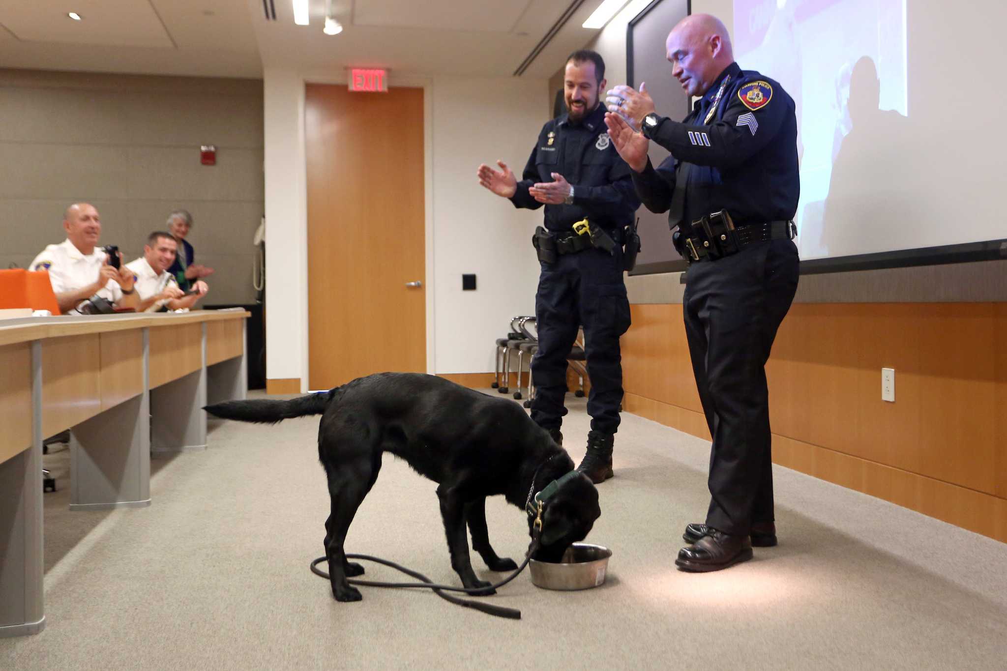Stamford Bomb Squad welcomes two new dogs