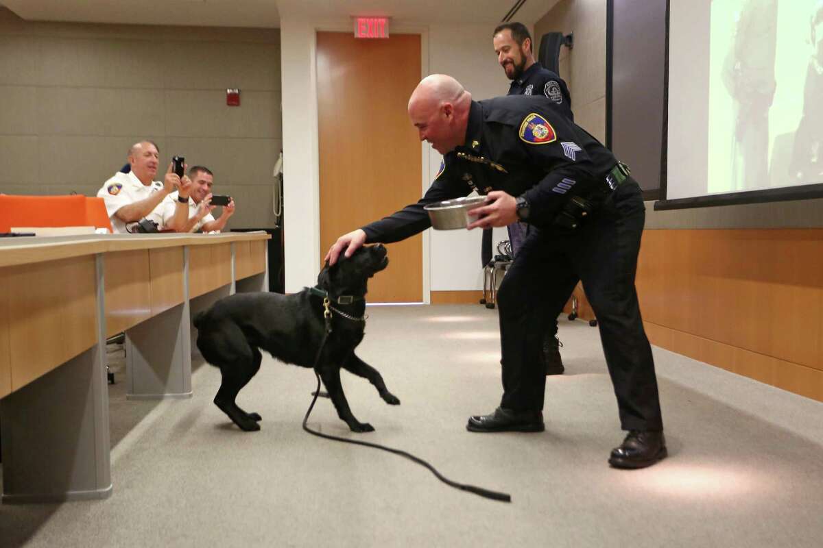 Stamford Bomb Squad welcomes two new dogs
