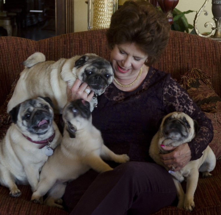 Midland dog featured in National Geographic photo spread