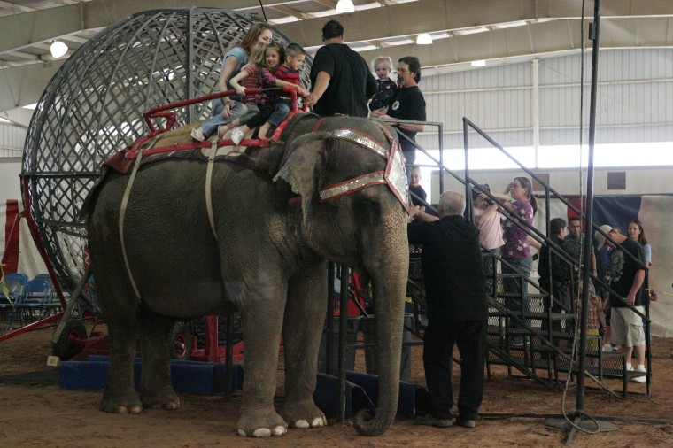 Circus Gatti brings new acts to Midland show