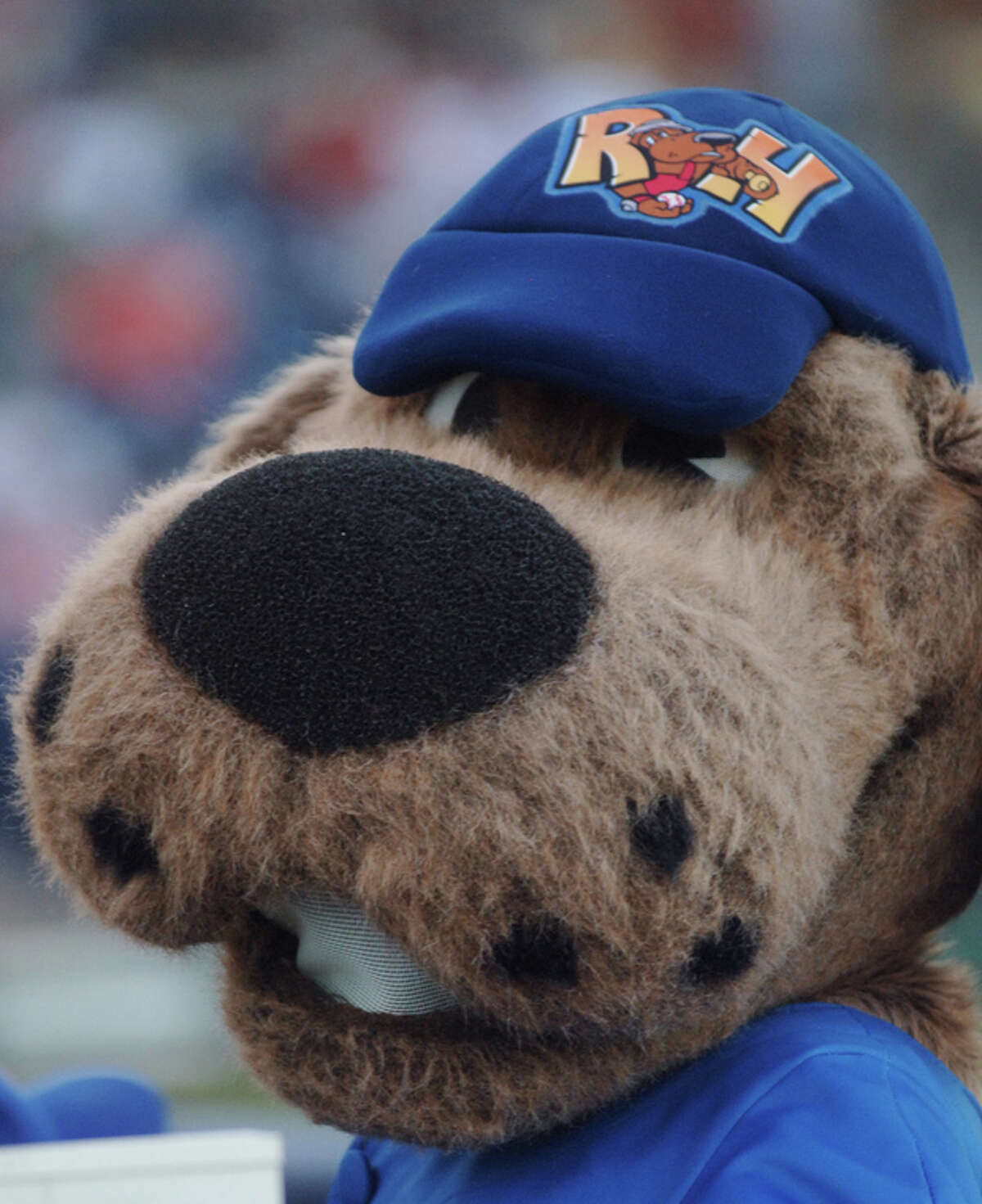 Meet the man behind Midland's favorite mascot