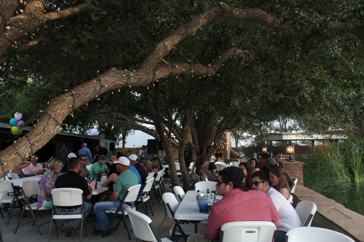 Photo Gallery: Shack in the Back