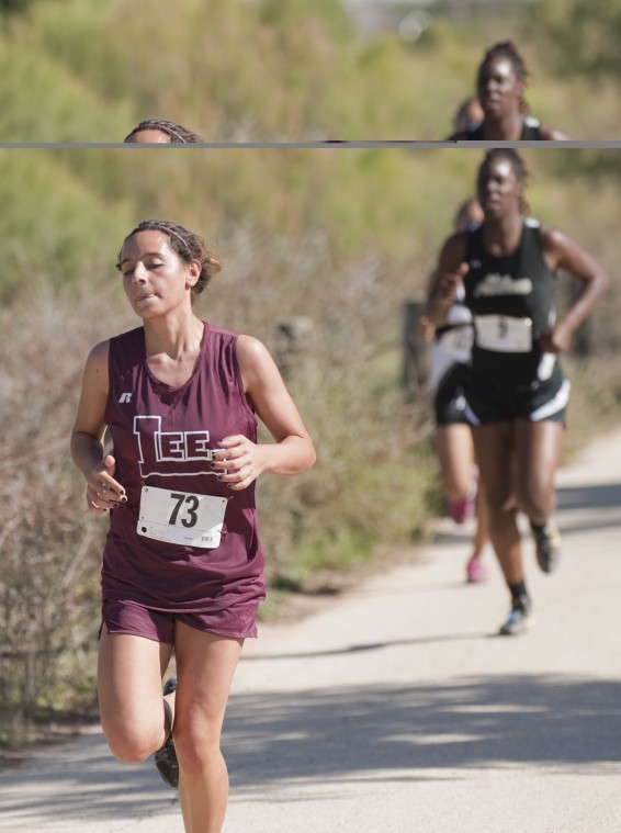 Lee's Gil earns regional cross country berth at 2-5A meet