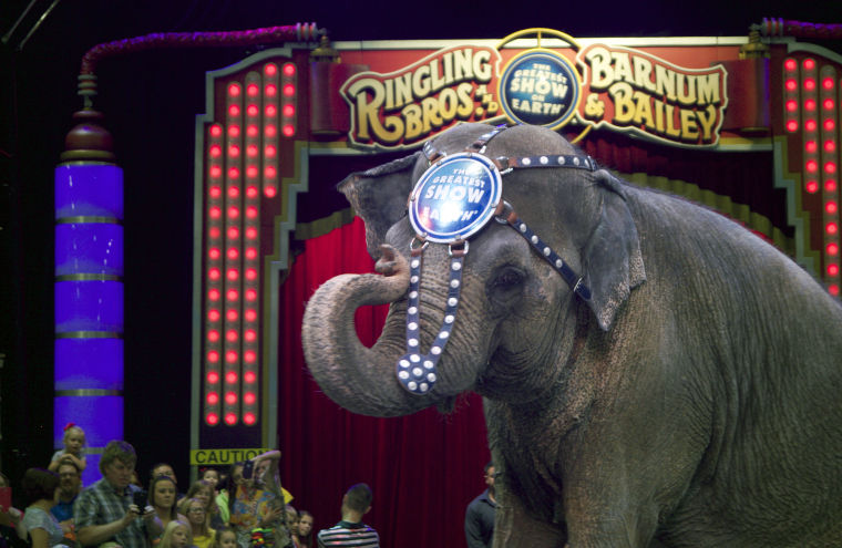 Photo Gallery: Ringling Bros Circus