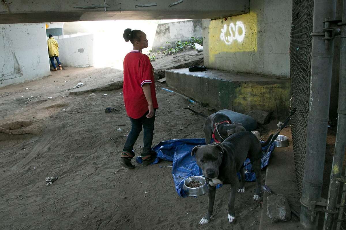 San Francisco homelessness Q&A: Frequently asked questions, answers