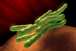 What is the most germ-infested place in your daily routine?