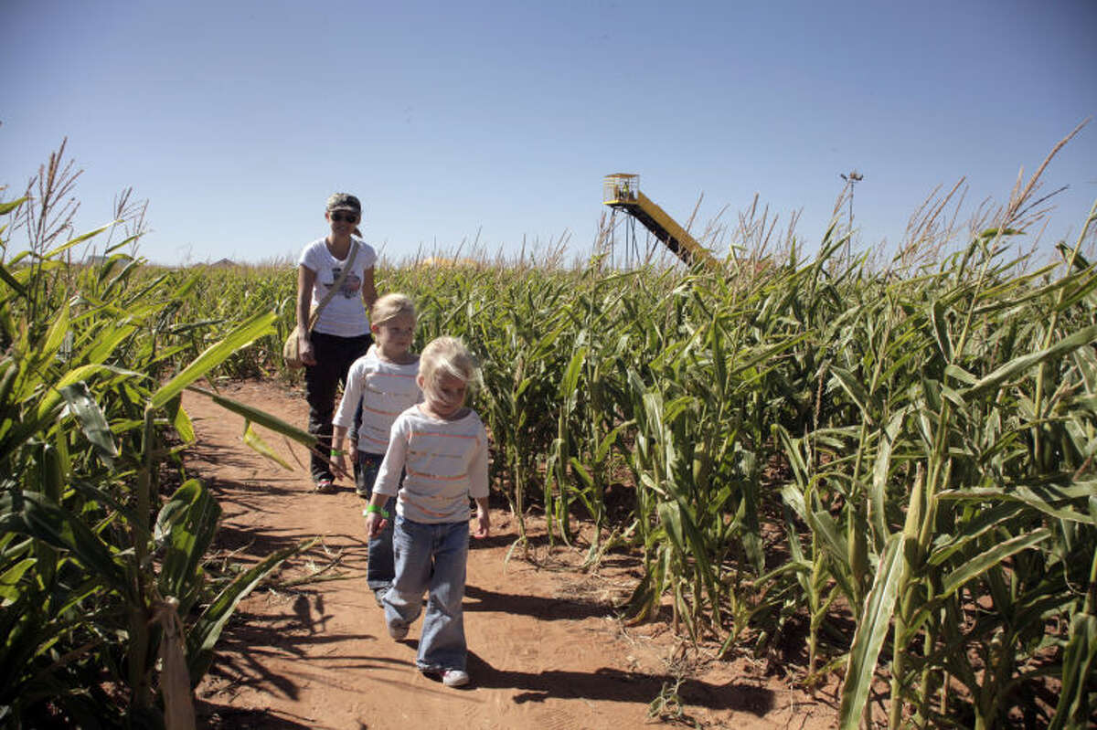 Photo Gallery: Fiddlesticks Farm