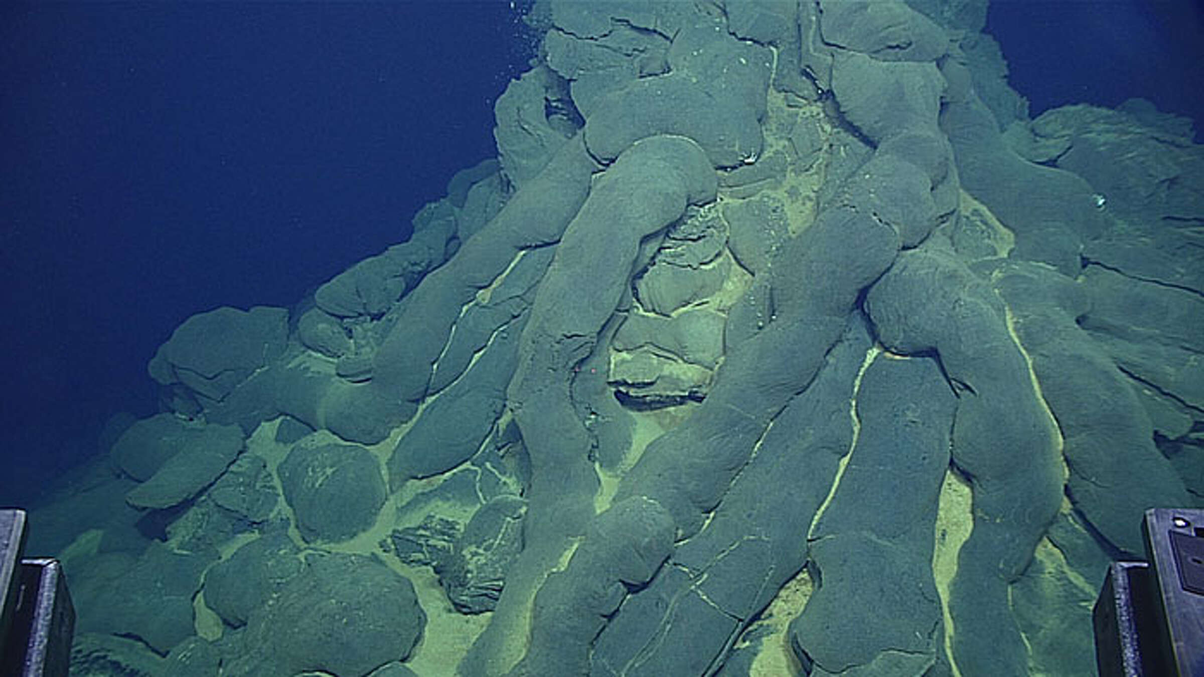 NOAA's Okeanos Explorer spots 'ghostshark' Chimaera in oceans by Guam