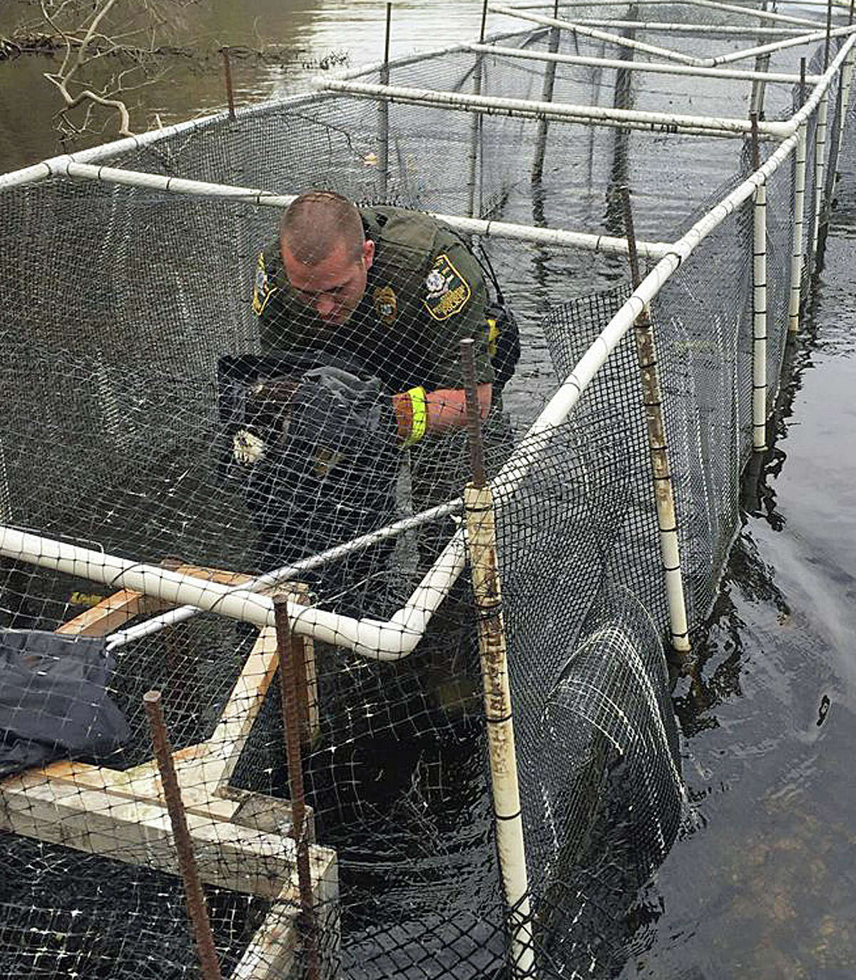 EnCon officers save trapped osprey