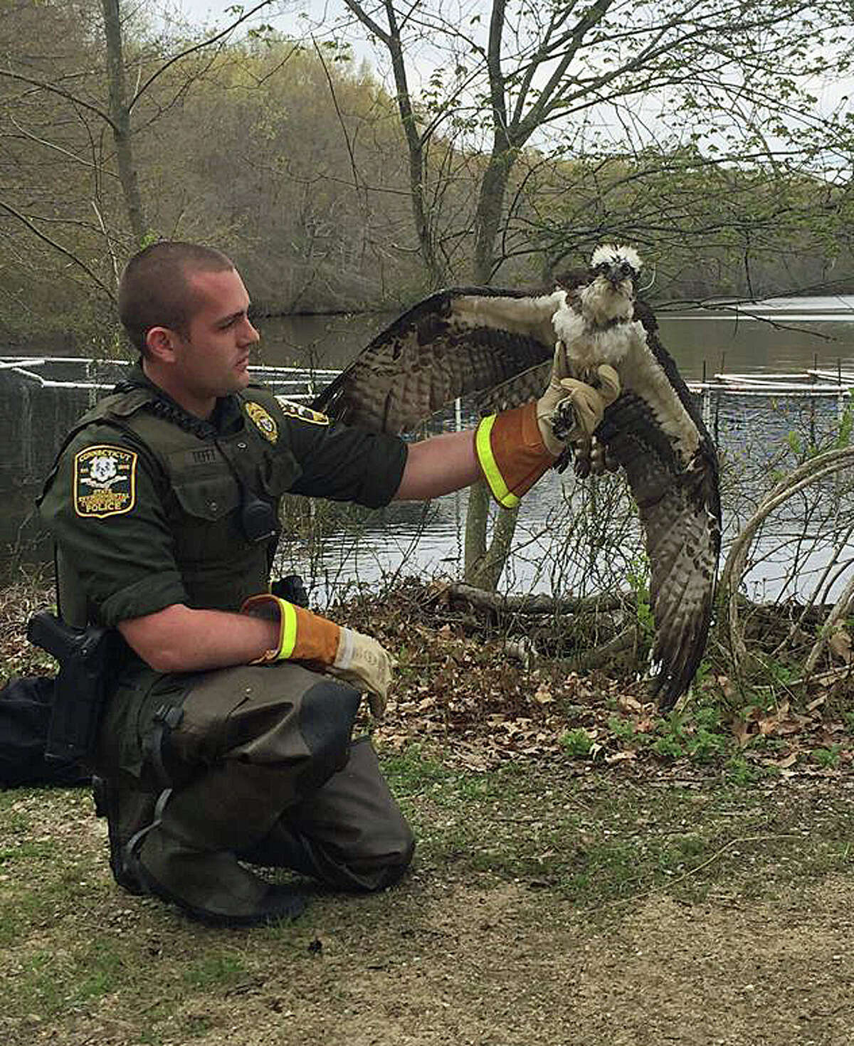 EnCon officers save trapped osprey