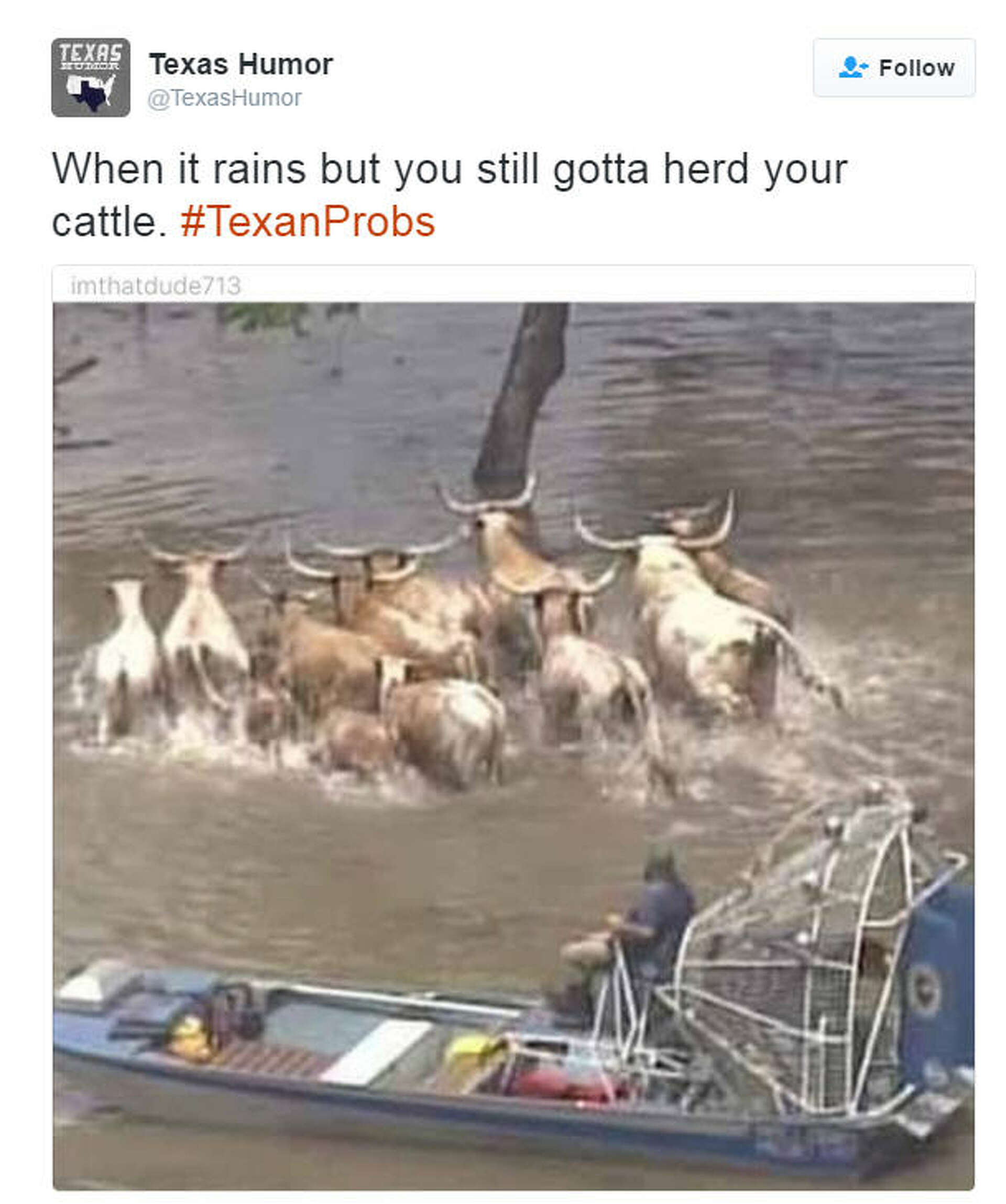 These memes perfectly describe living in Texas