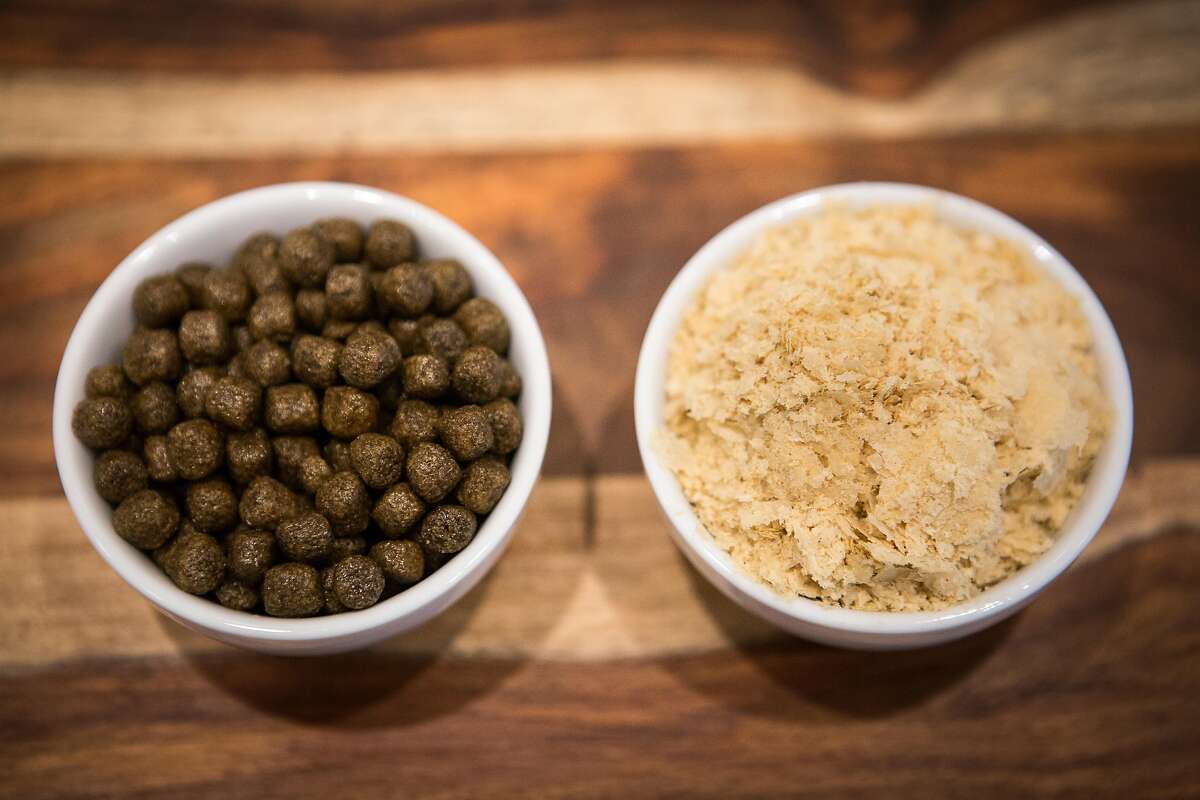 A new way to feed farmed salmon could take pressure off wild fish