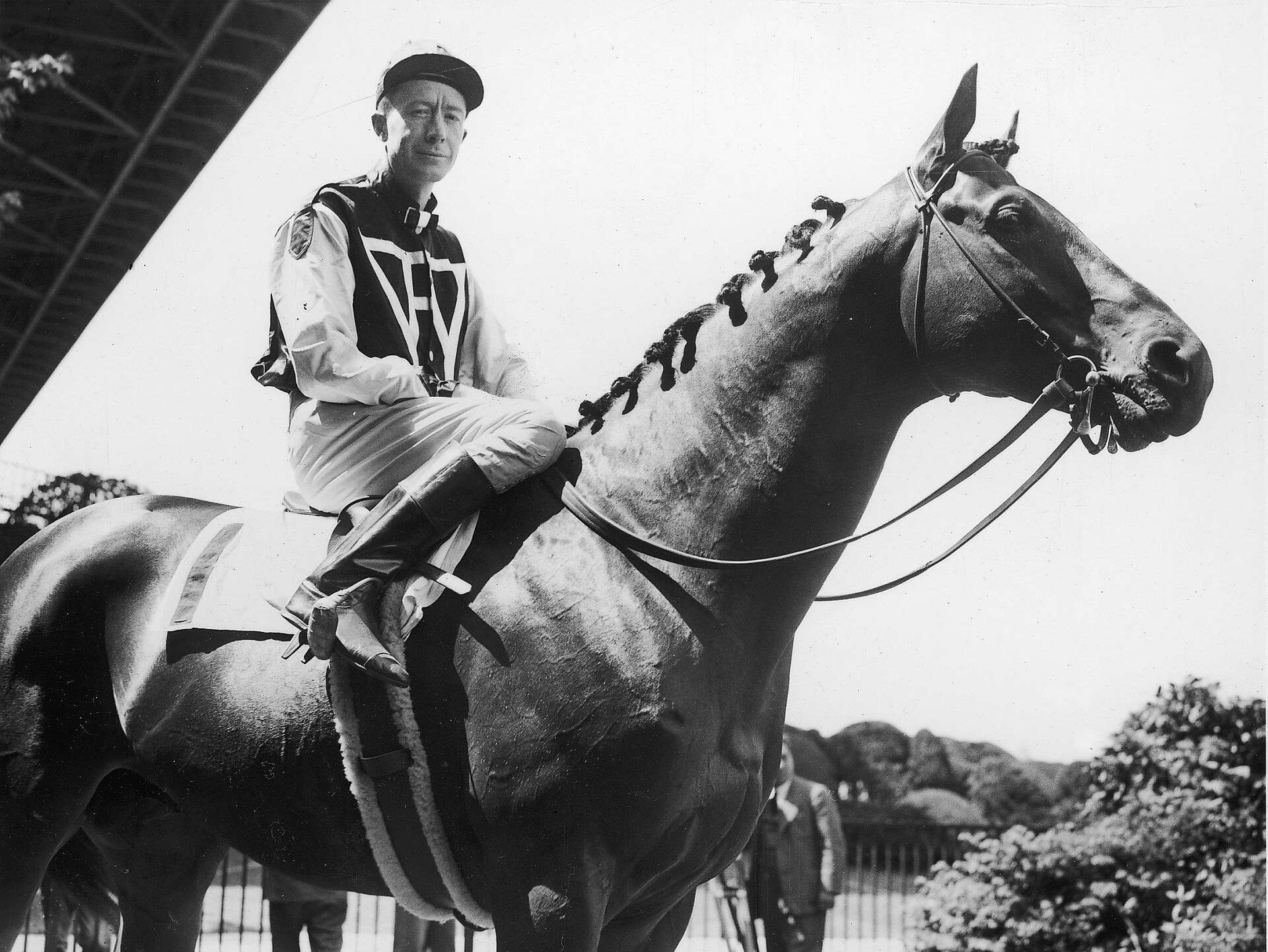 When Seabiscuit galloped into Northern California retirement
