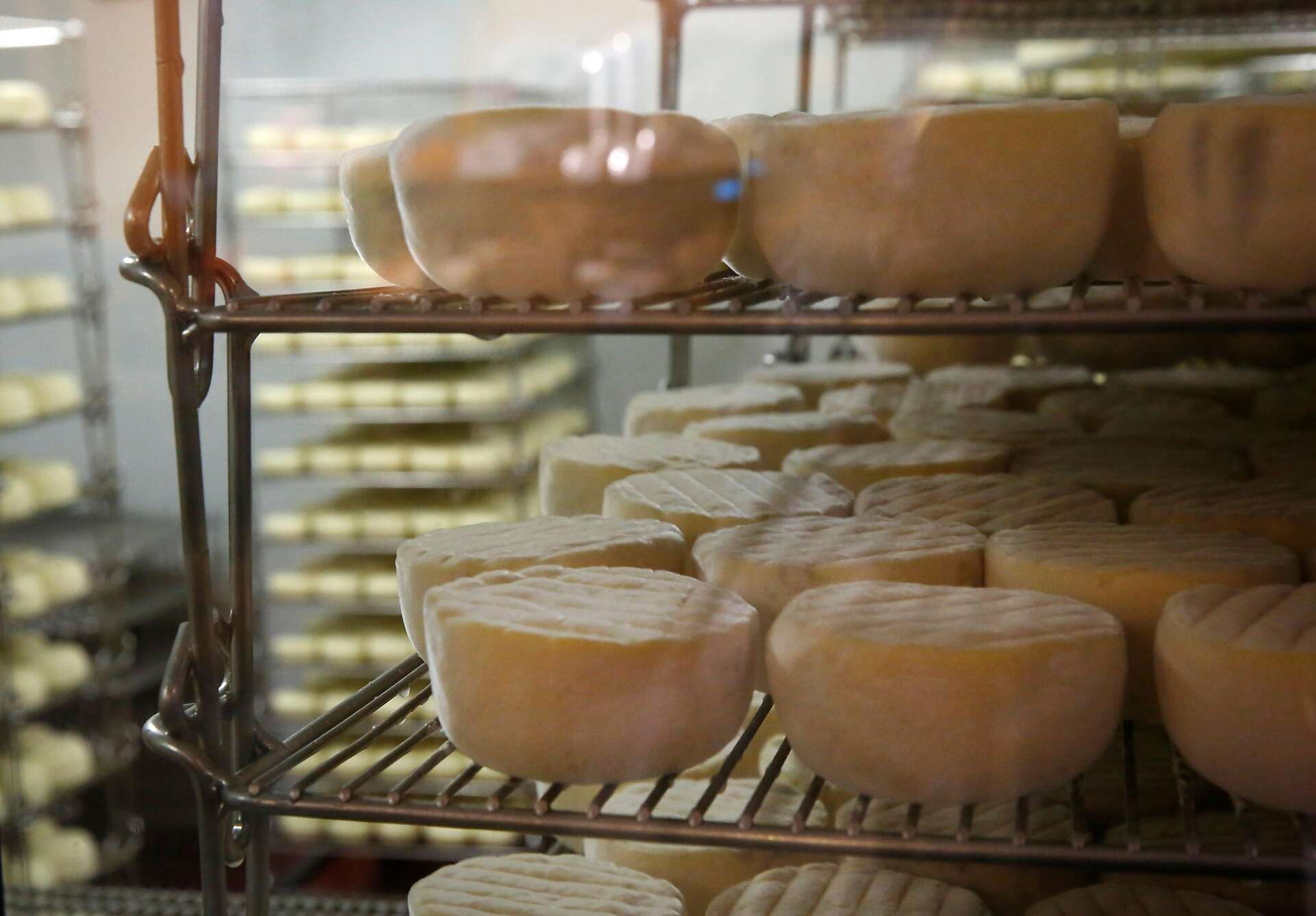 Cowgirl Creamery releases first new cheese since 2011