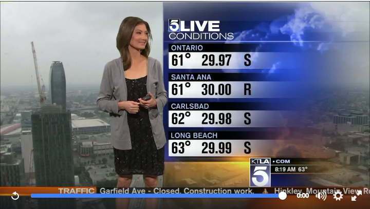 Weather reporter asked to cover up live on air