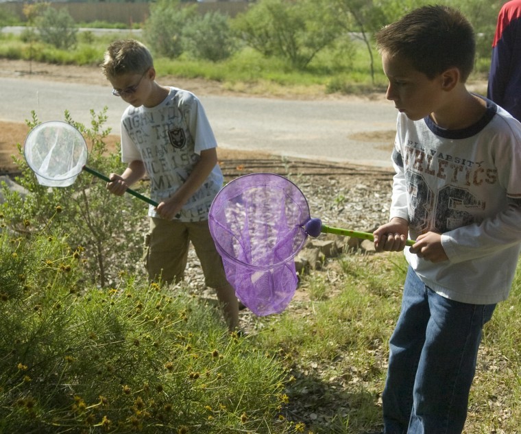Sibley Nature Center's Bug Camp
