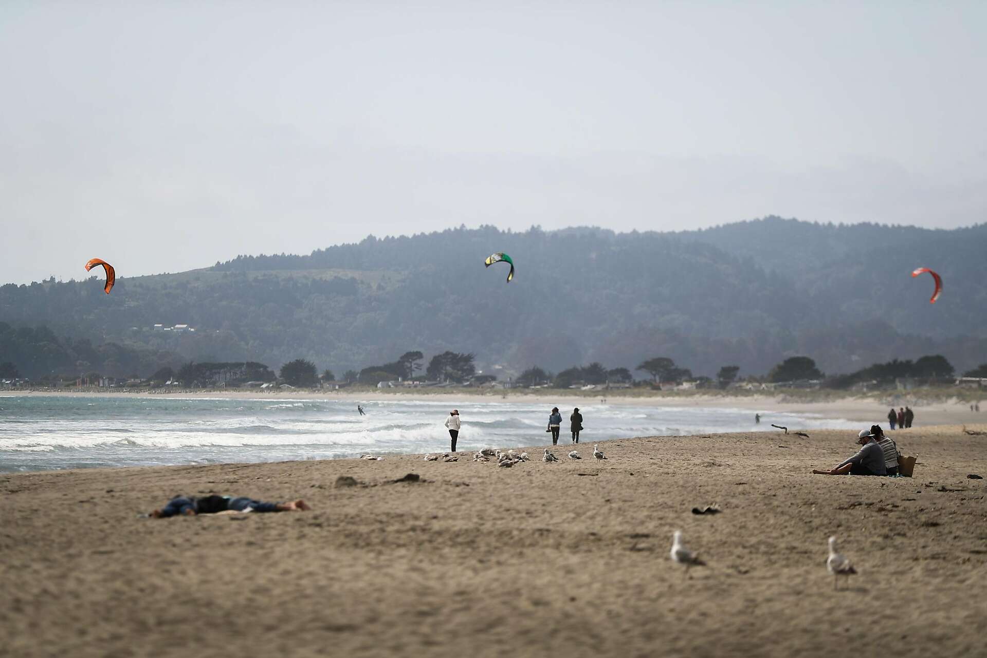 Reddit readers say what they like (and detest) about the Bay Area