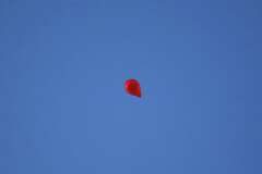 Full of hot air: On ballooning, its draw and its aging pilots