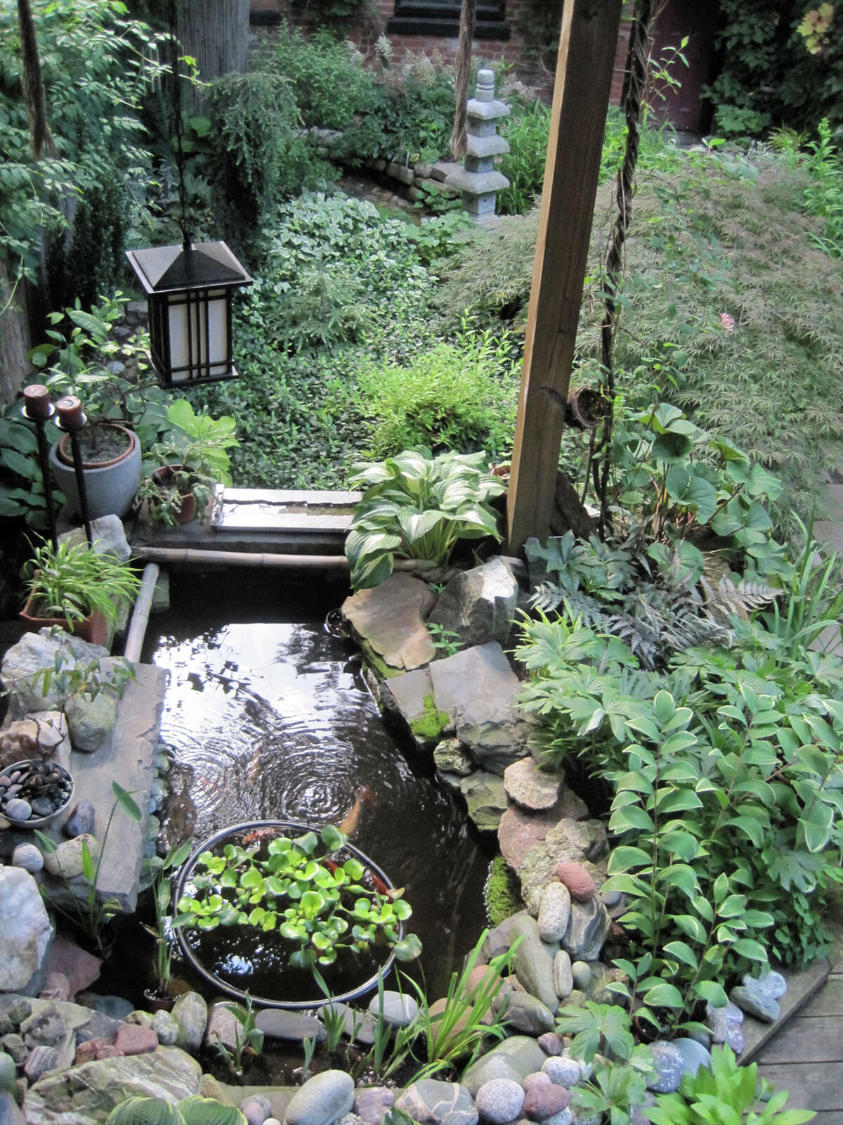 Garden tour time in Troy