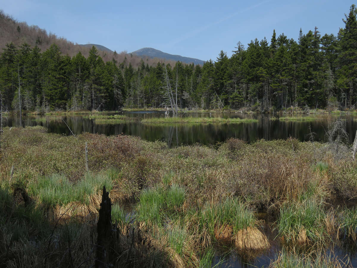 Outdoors: Boreas Ponds are Adirondacks' hidden treasure