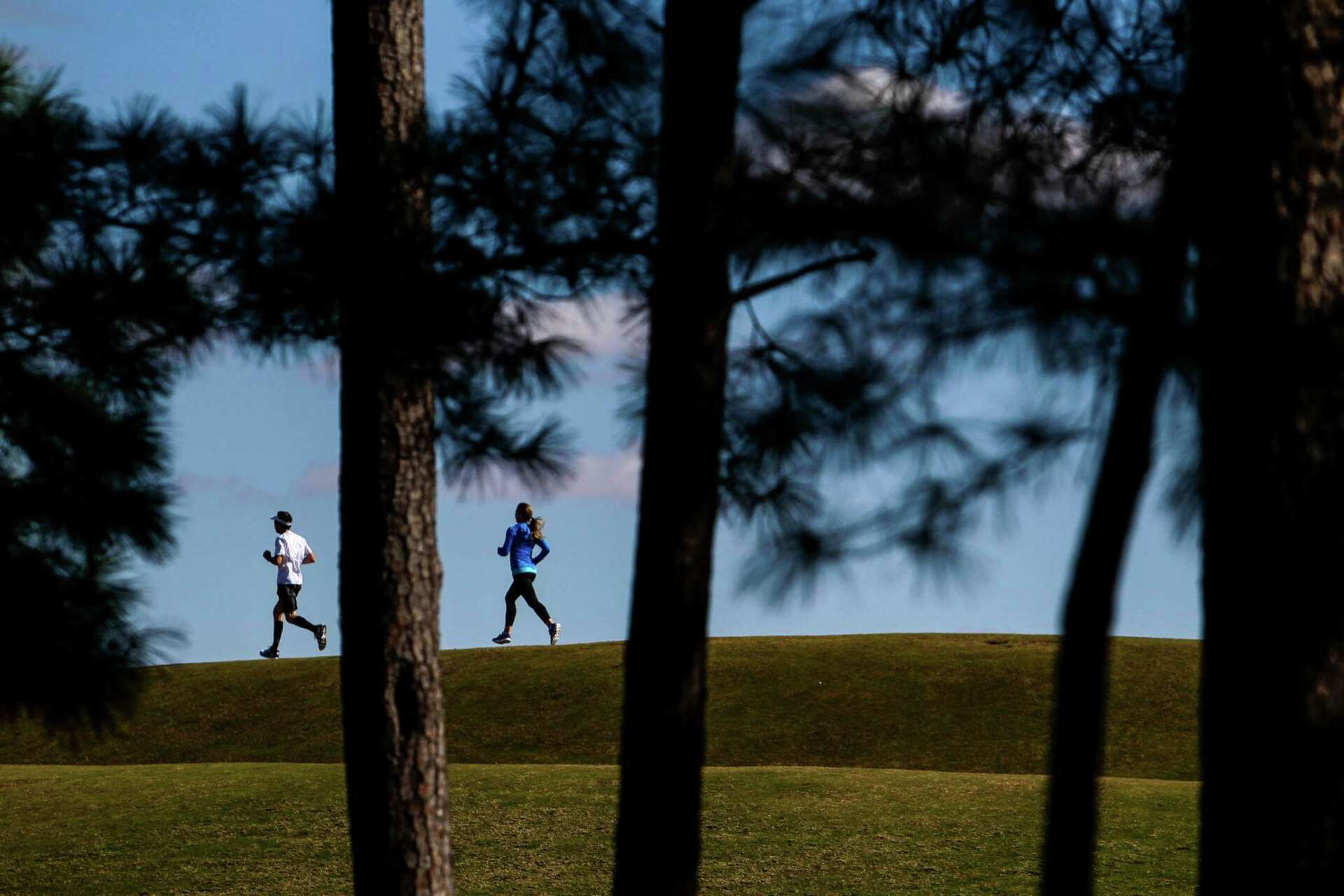 George Hermann: Houston's eccentric philanthropist