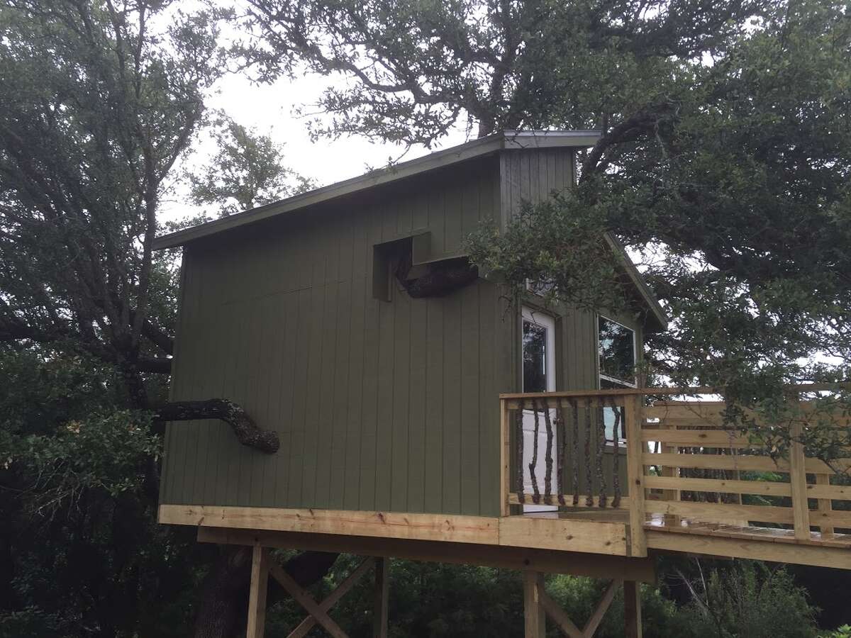 Disabled Texas boy's Make-A-Wish ask for wheelchair-accessible tree ...