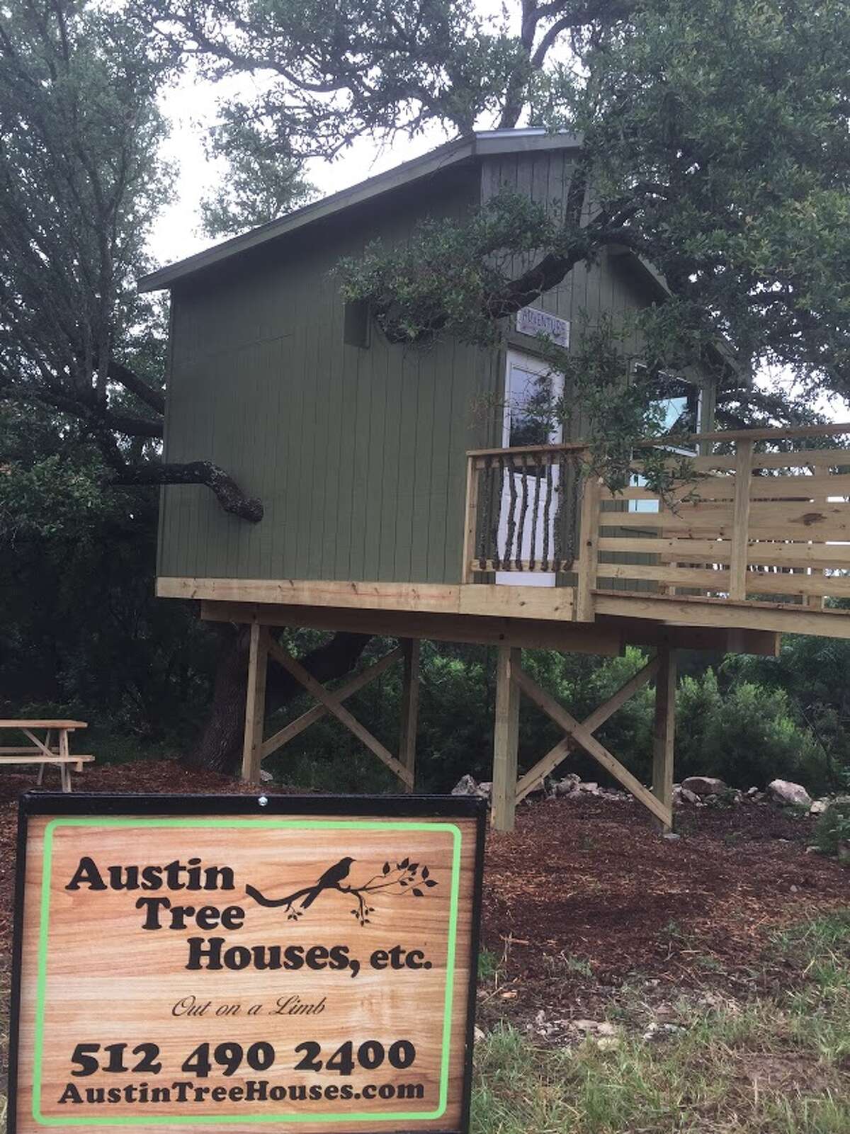 Disabled Texas boy's Make-A-Wish ask for wheelchair-accessible tree ...