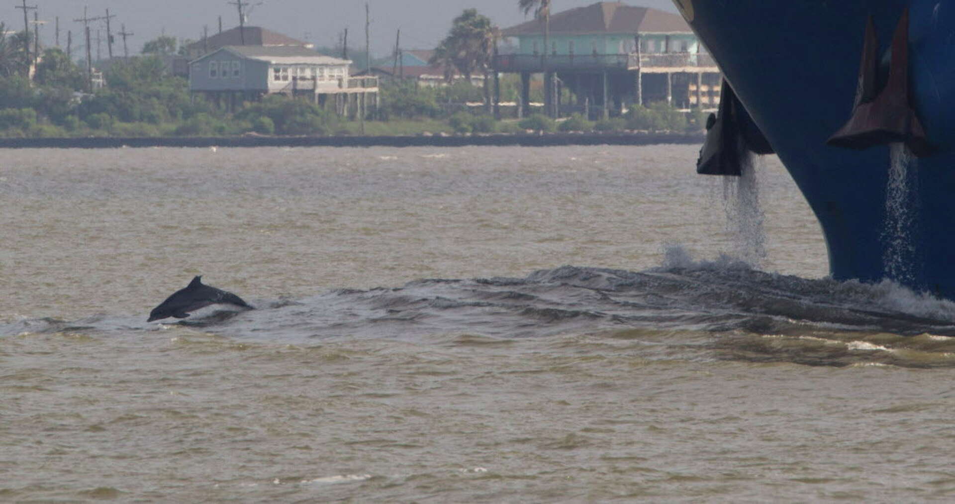 Six years after the Deepwater Horizon oil spill, scientists still know ...