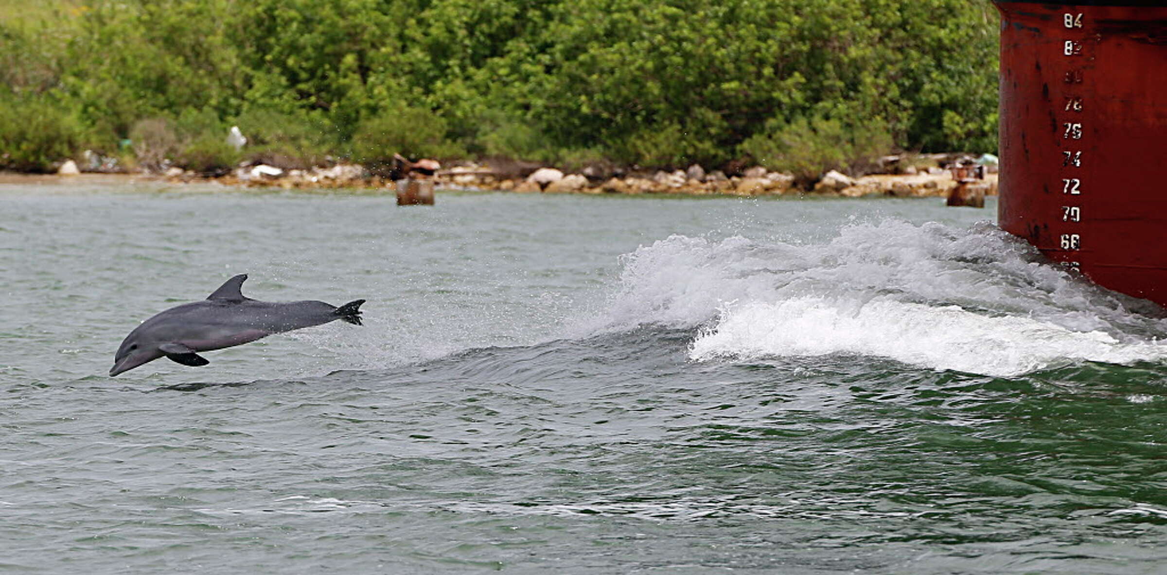 Six years after the Deepwater Horizon oil spill, scientists still know ...