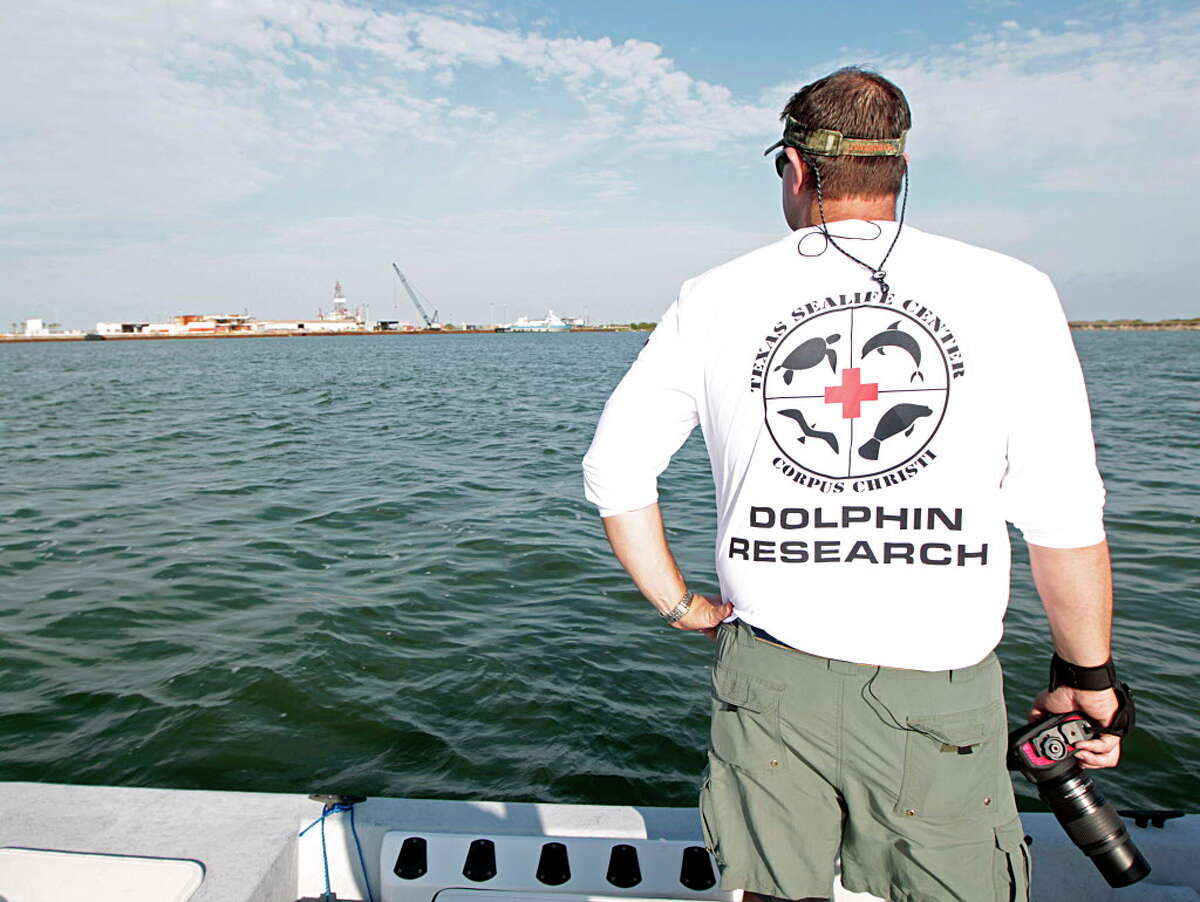 Six years after the Deepwater Horizon oil spill, scientists still know ...