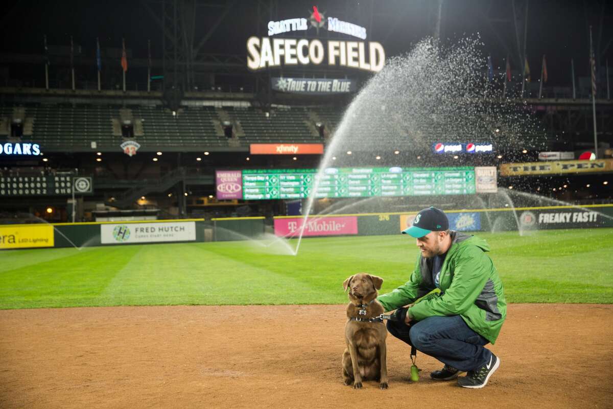 Sit! Stay! Seattle Mariners' Bark at the Park less than a week away