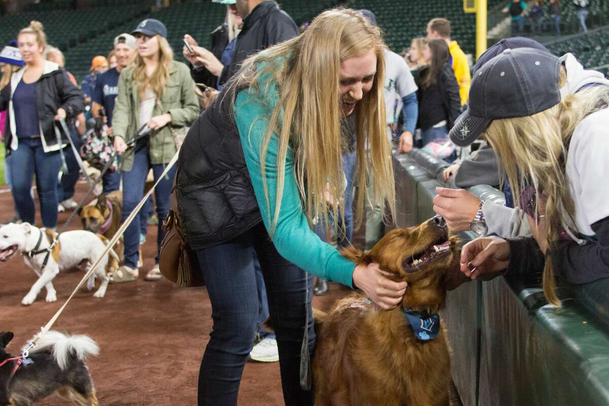 Sit! Stay! Seattle Mariners' Bark at the Park less than a week away